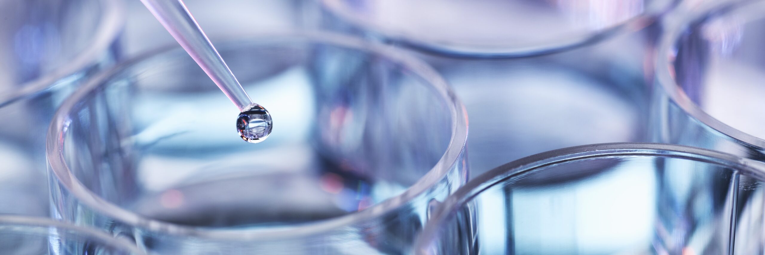 Update on Ophthalmic Anti-VEGF Therapeutics - Big Molecule Watch